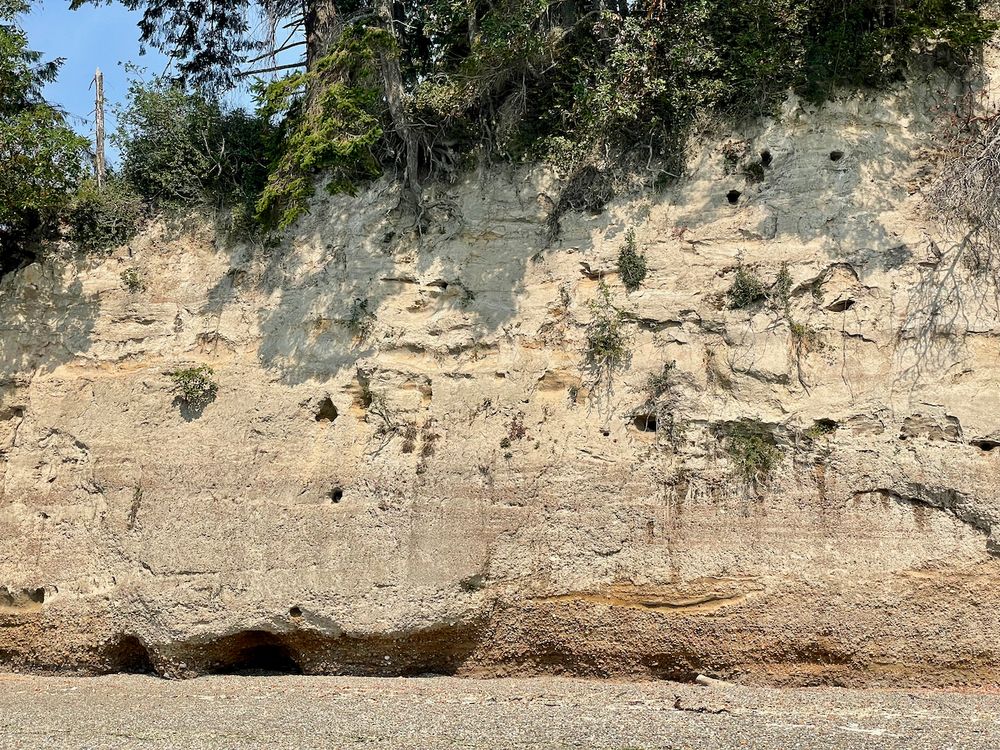 A few days at Oro Bay